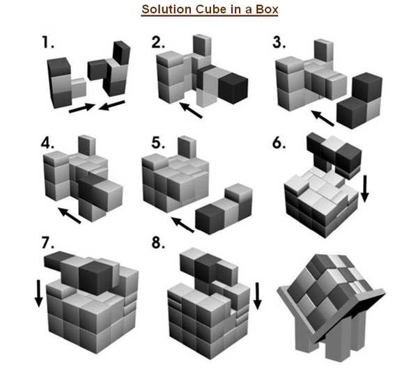 Cube in a Box - Wooden Puzzle - Solve It! Think Out of the Box